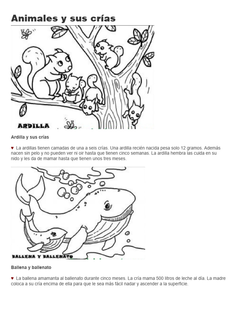 Animales y sus crías | PDF | León | Leopardo