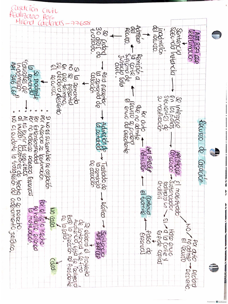 Flujograma Casación Civil | PDF