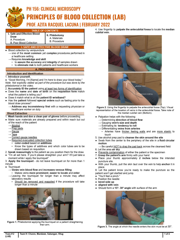 Ph156 Lab 02 Principles Of Blood Collection Lab Pdf Blood