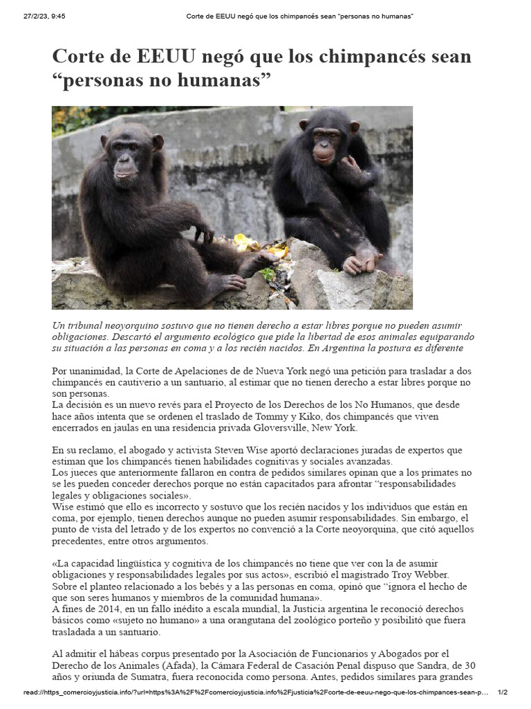 TP1 - Documento extra 2 | PDF