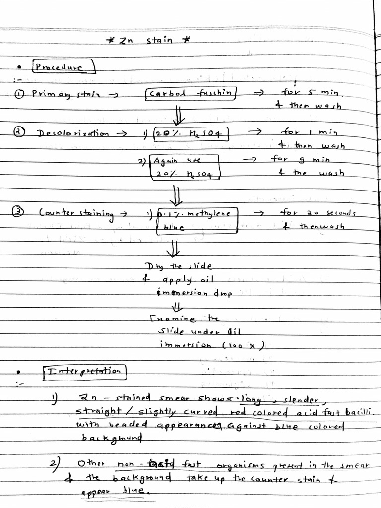 Micro - Practical | PDF