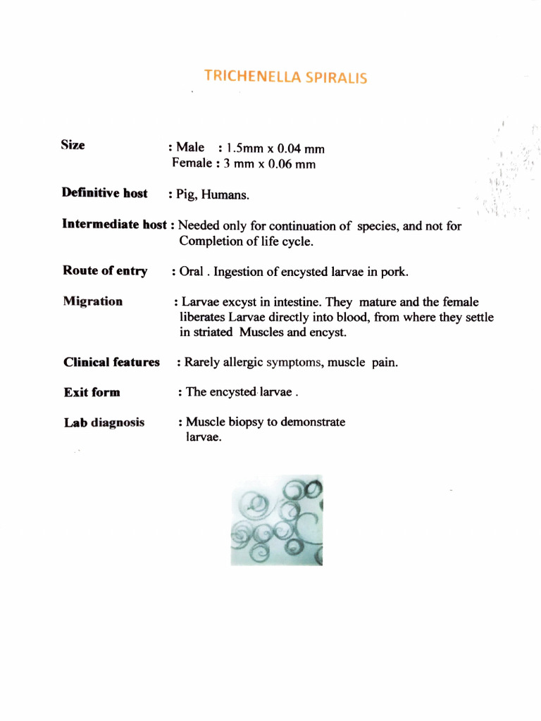 Micro Charts | PDF