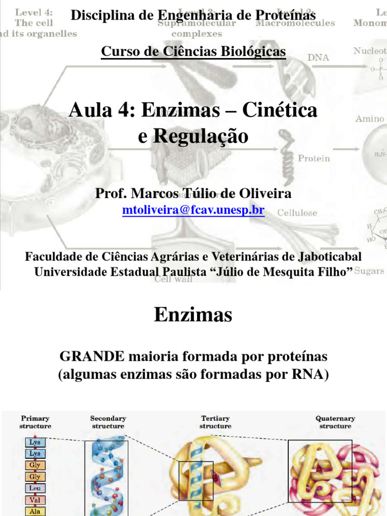 Aula4 Enzimas Ep2017 | PDF | Enzima | Cinética enzimática