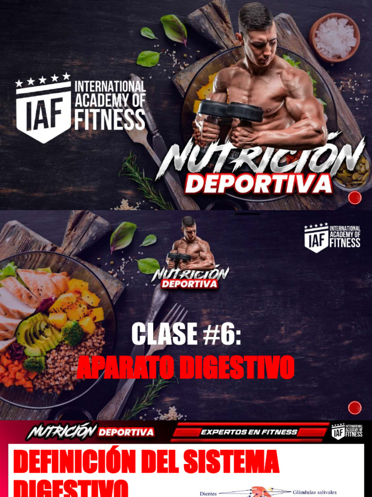 Clase 6 Sistema Digestivo - Nutricion | PDF | Digestión | Sistema digestivo humano