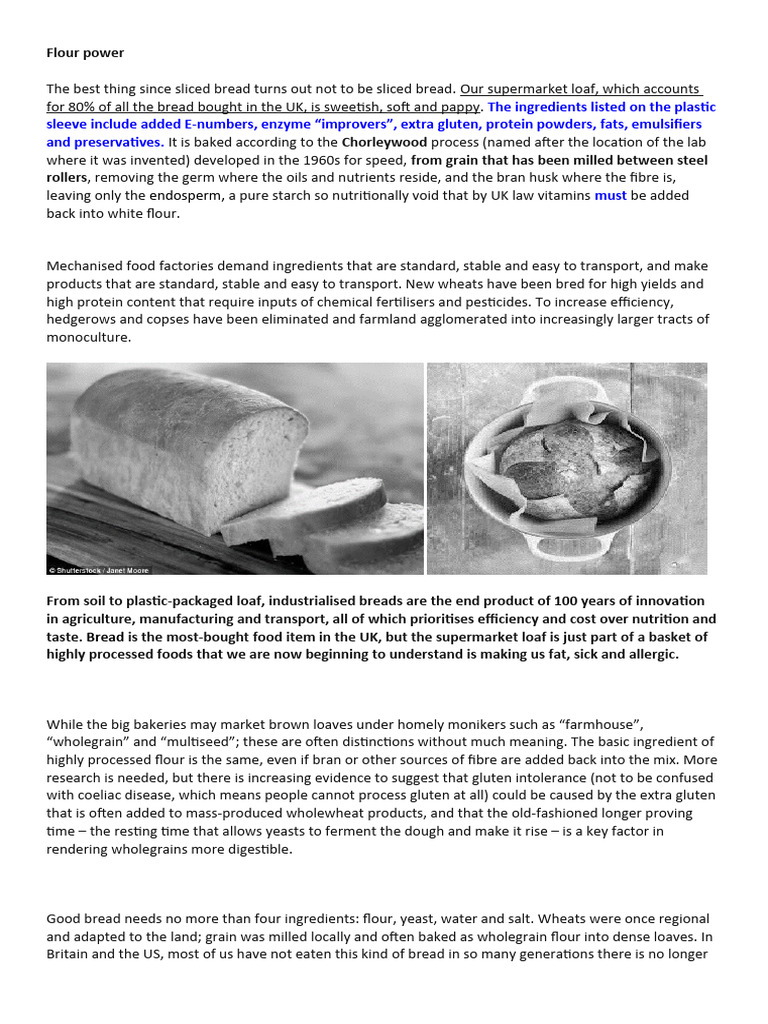 Reading and Language Awareness - Flour Power | PDF | Breads | Flour