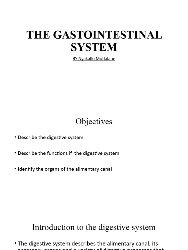 Digestive System Overview | PDF