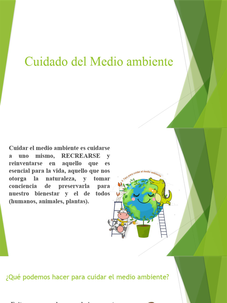 Insertar - Roselin Reyes | PDF