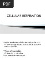 Respiration in Plants Ppt | PDF