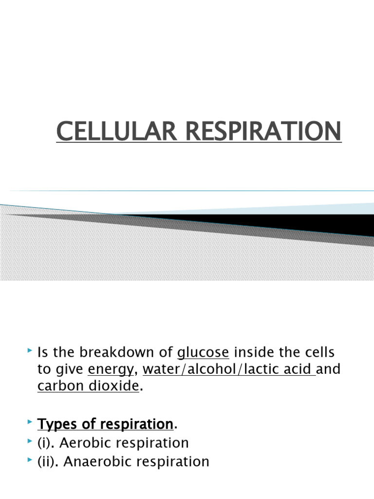 Celluar respiration | PDF | Cellular Respiration | Glucose