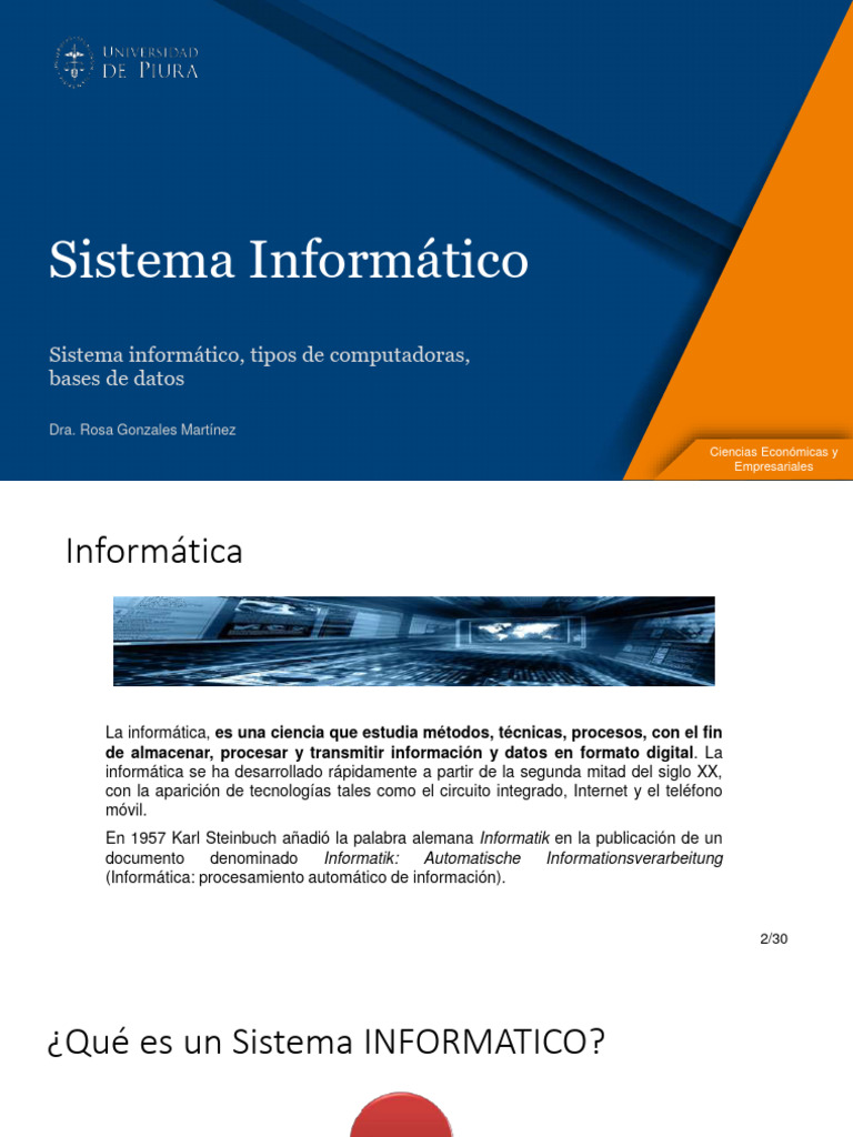 Sistema Informático | PDF | Informática | Almacén de datos
