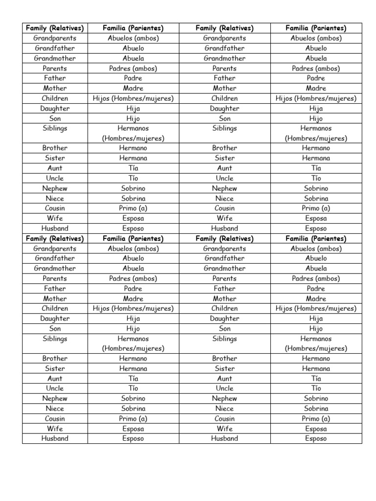 Vocabulario Unidad 5.1 | PDF