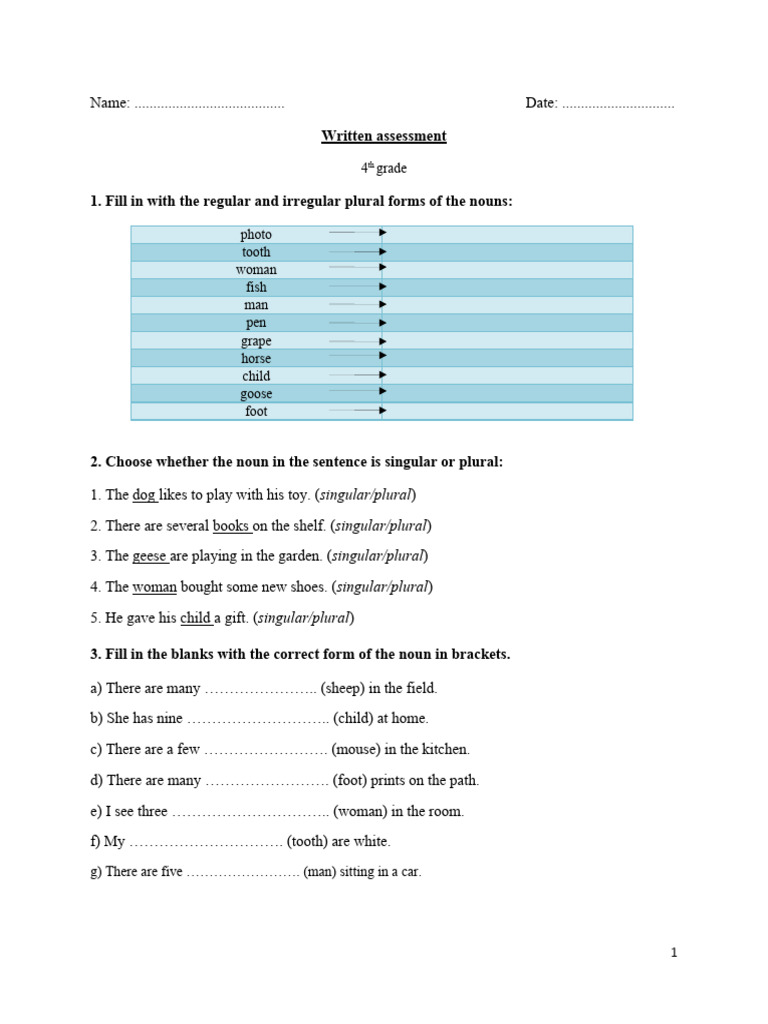 4th Grade Noun Assessment Worksheet | PDF | Grammar | Linguistic Typology
