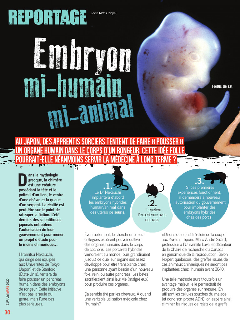 4 ReportageEmbryon | PDF | Greffe d'organe | Biologie