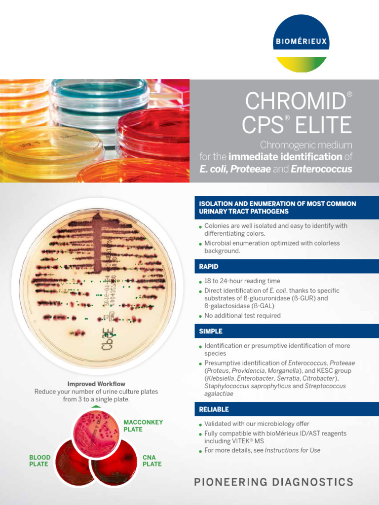 18_chromid_reading-guides_v3-digital | PDF | Streptococcus ...
