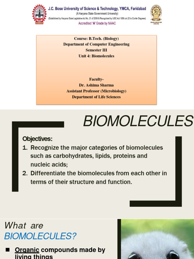 Unit 4-Biomolecules | PDF | Carbohydrates | Biomolecules