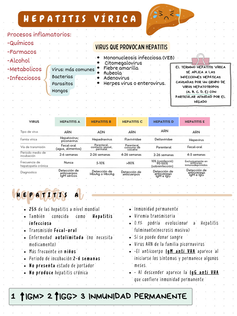 Hepatitis Vírica: Tipos y Transmisión | PDF | Hepatitis | Virus