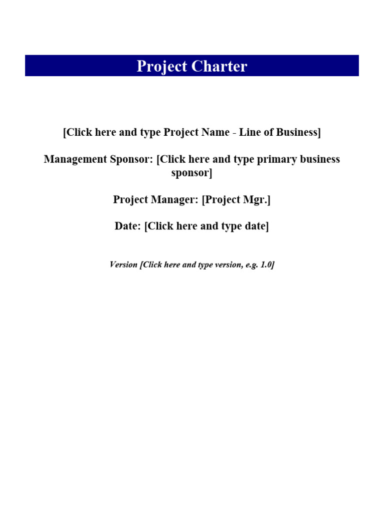 Project Charter Template | PDF | Business | Committee