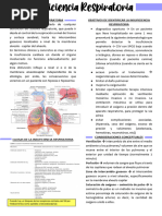 Estudio de La Relacion Safi y Pafi Iess 2020 | PDF | Respiración ...