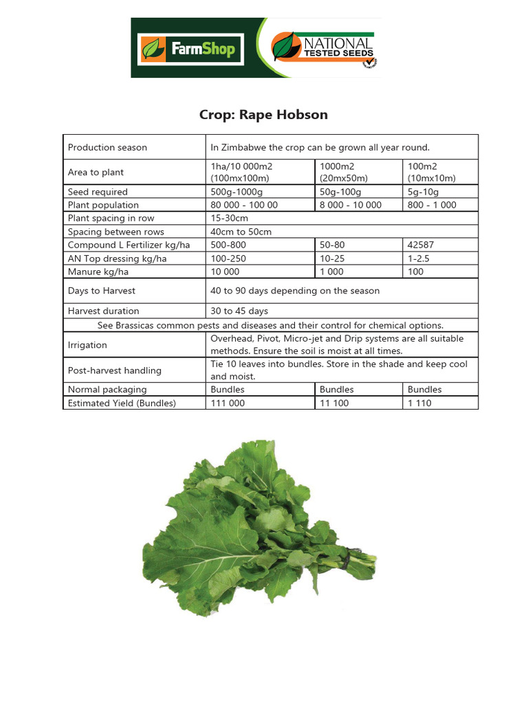 Vegetable Quick Growers Guide - Rape Hobson | PDF