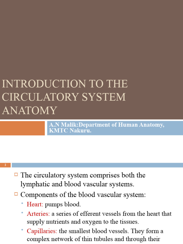633805750b2a1 Introduction To The Circulatory System Consolidated | PDF ...