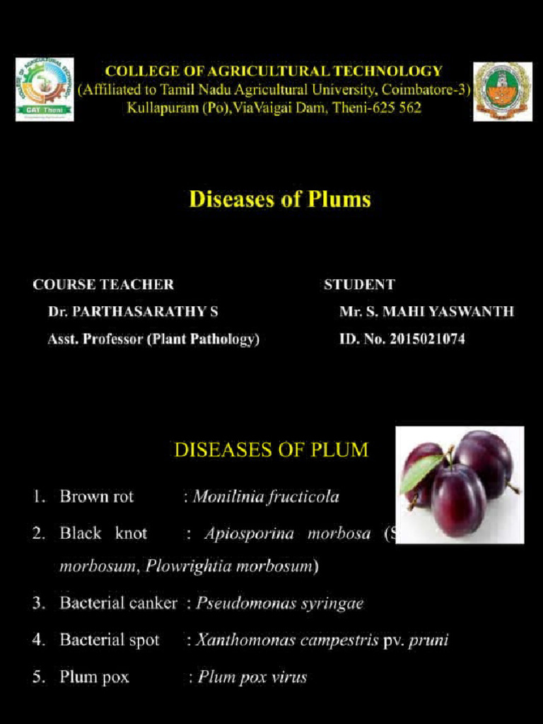 Diseases of Plum | PDF