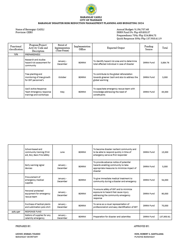 BDRRM Plan 2024 | Download Free PDF | Emergency Management | Emergency