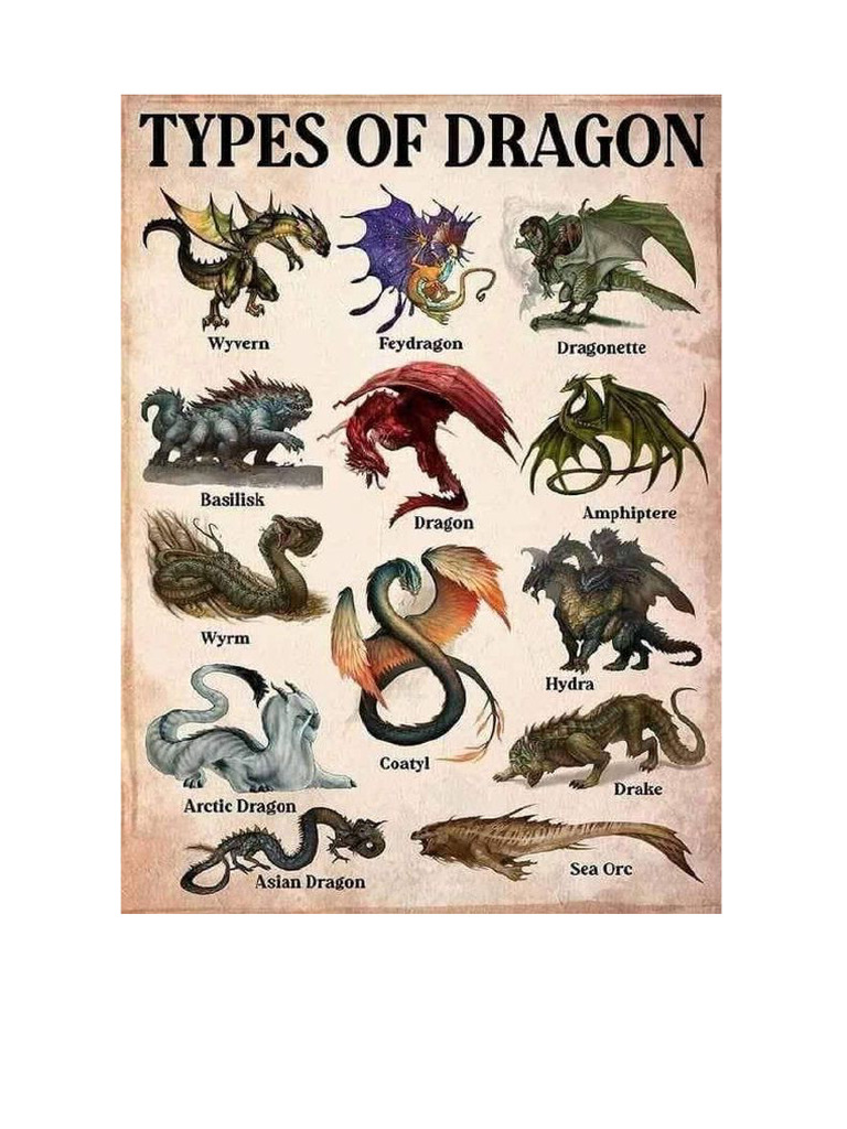 58 Types of Dragon | PDF