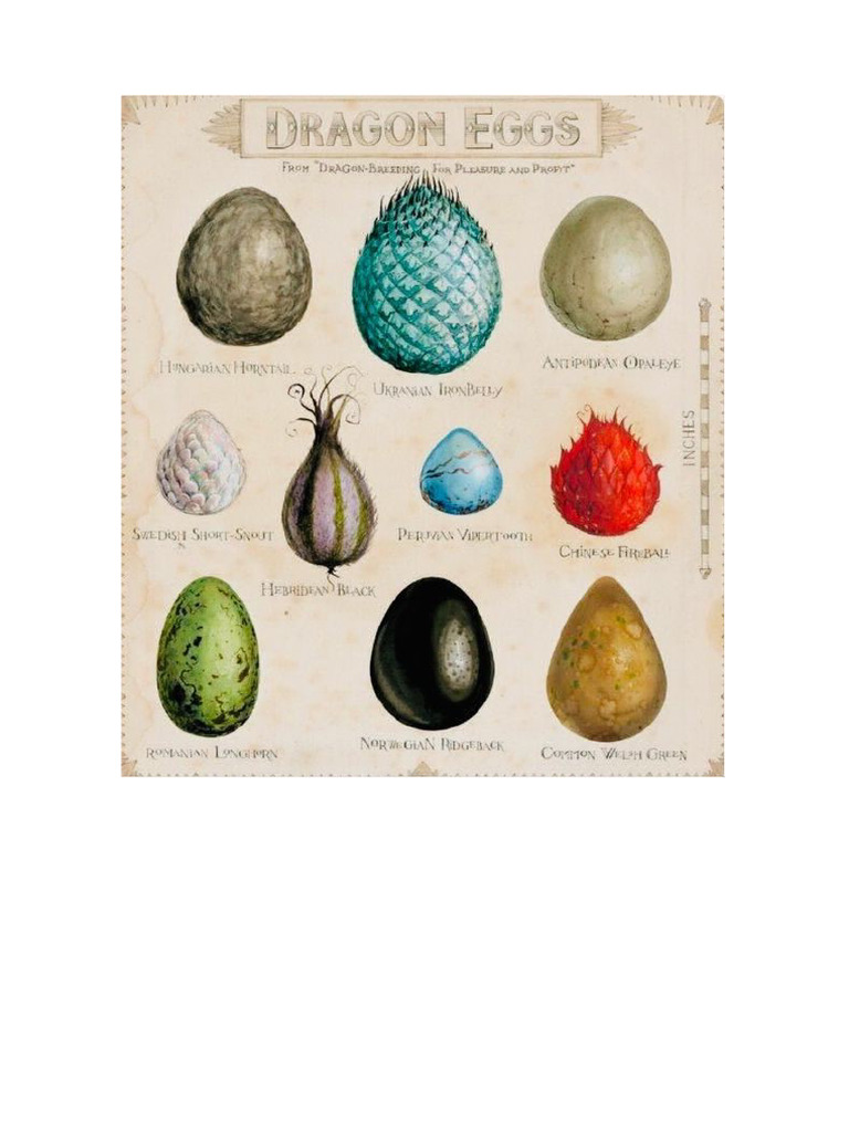 59 Dragon Types Eggs | PDF