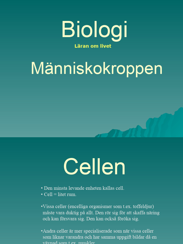 Cellen GG | PDF