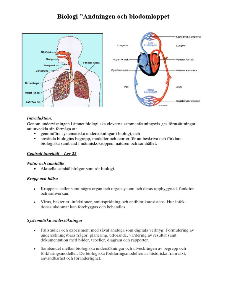 Pedagogisk planering 2023 | PDF
