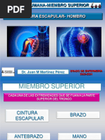 A34 Compartimentos Musculares Del Brazo y Antebrazo DR Daniel Lopez ...