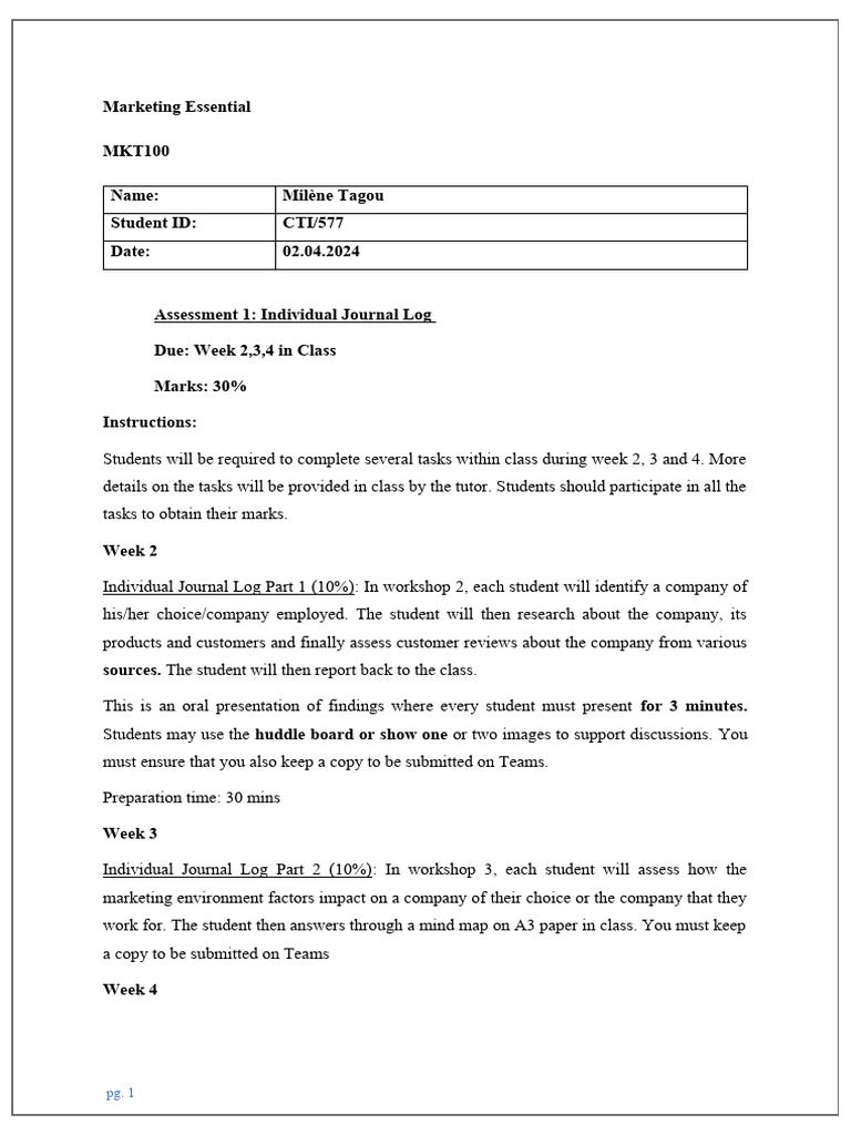 TAGOU Beatrice_Individual Journal Log | PDF | Brand | Marketing