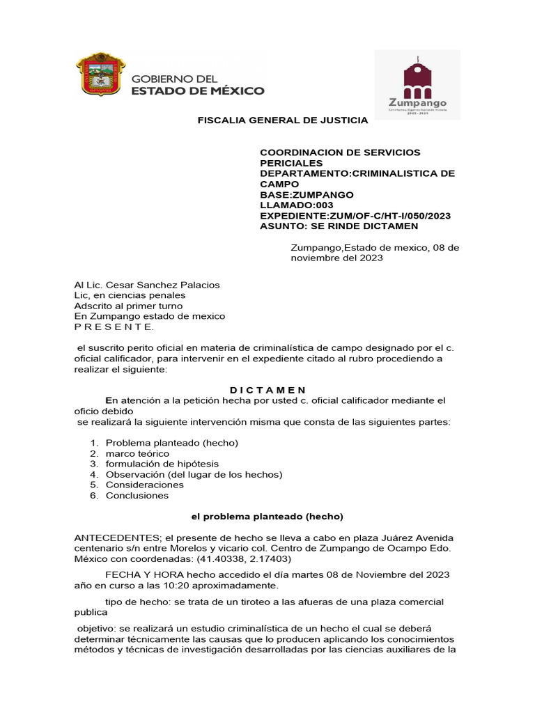 Peritaje Correcto | PDF | Ciencia forense | Observación