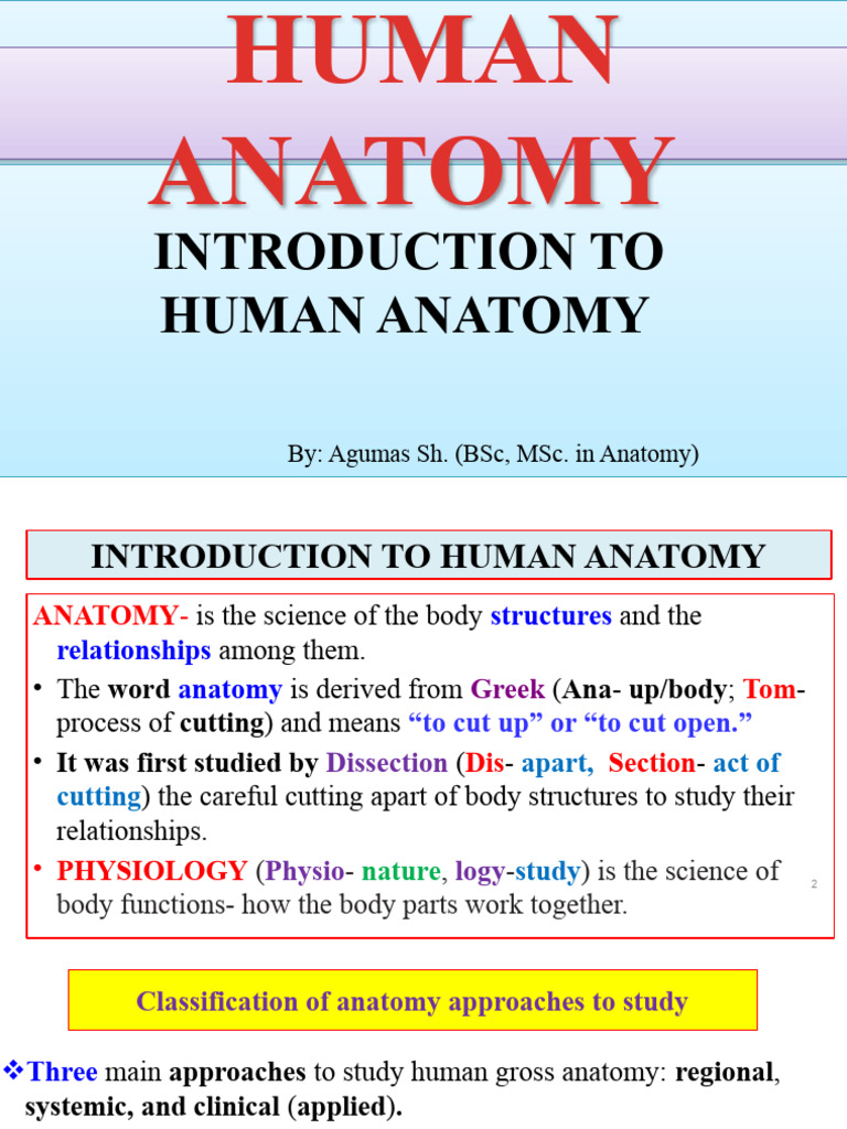 Introduction To Anatomy | PDF | Anatomical Terms Of Motion | Anatomy