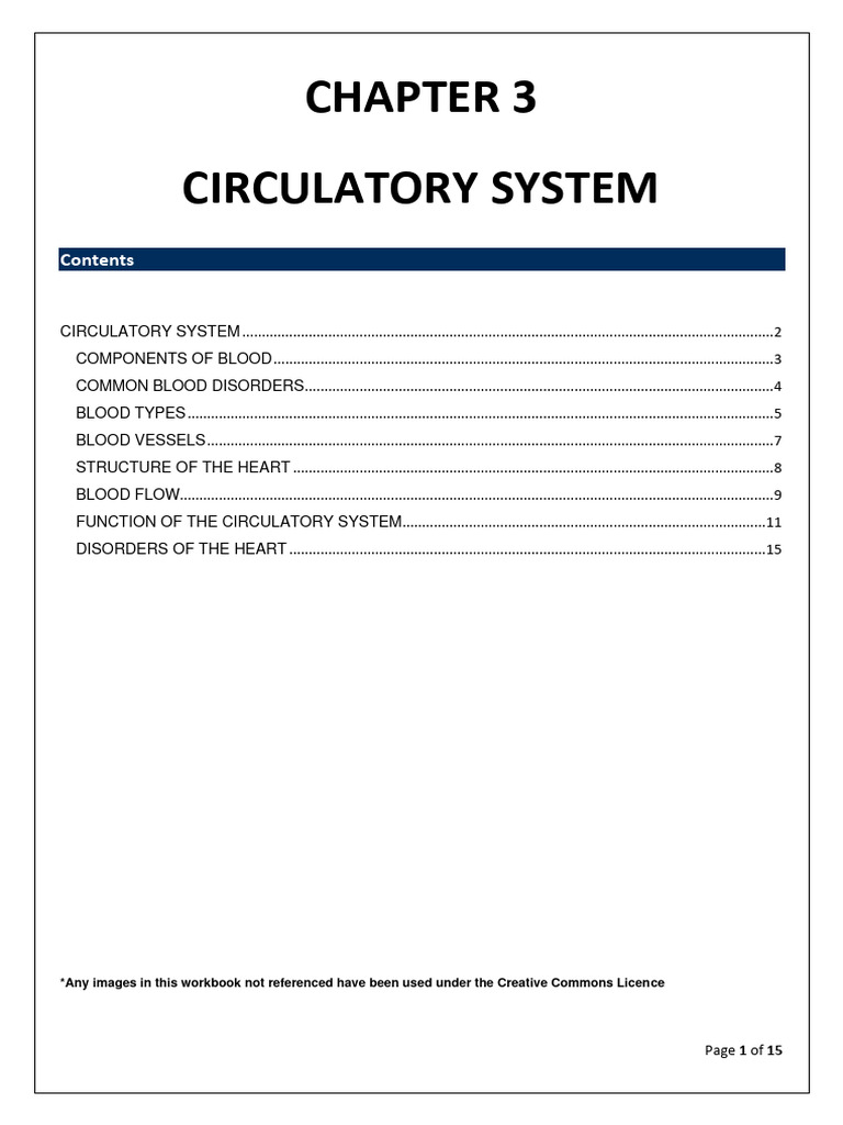 Understanding the Circulatory System | PDF | Heart | Vein