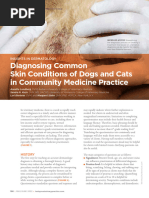 Canine Pruritus Visual Analog Scale | PDF