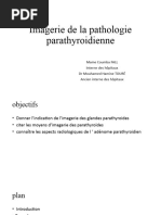 Imagerie de la Selle Turcique | PDF | Imagerie par résonance magnétique ...
