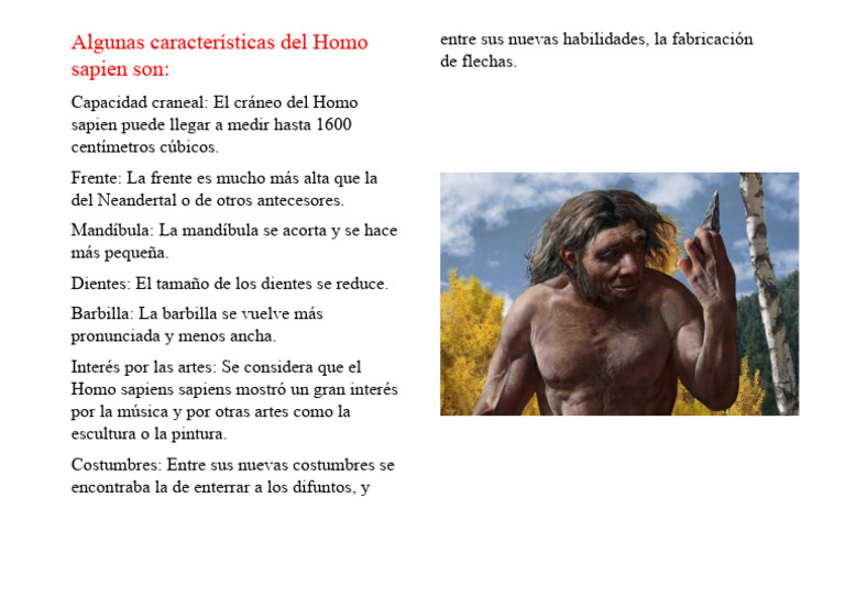 Algunas Características Del Homo Sapiens Sapiens Son | PDF