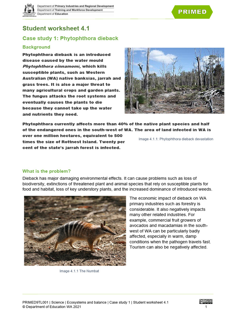Phytophthora Dieback Impact in WA | PDF | Botany | Plants
