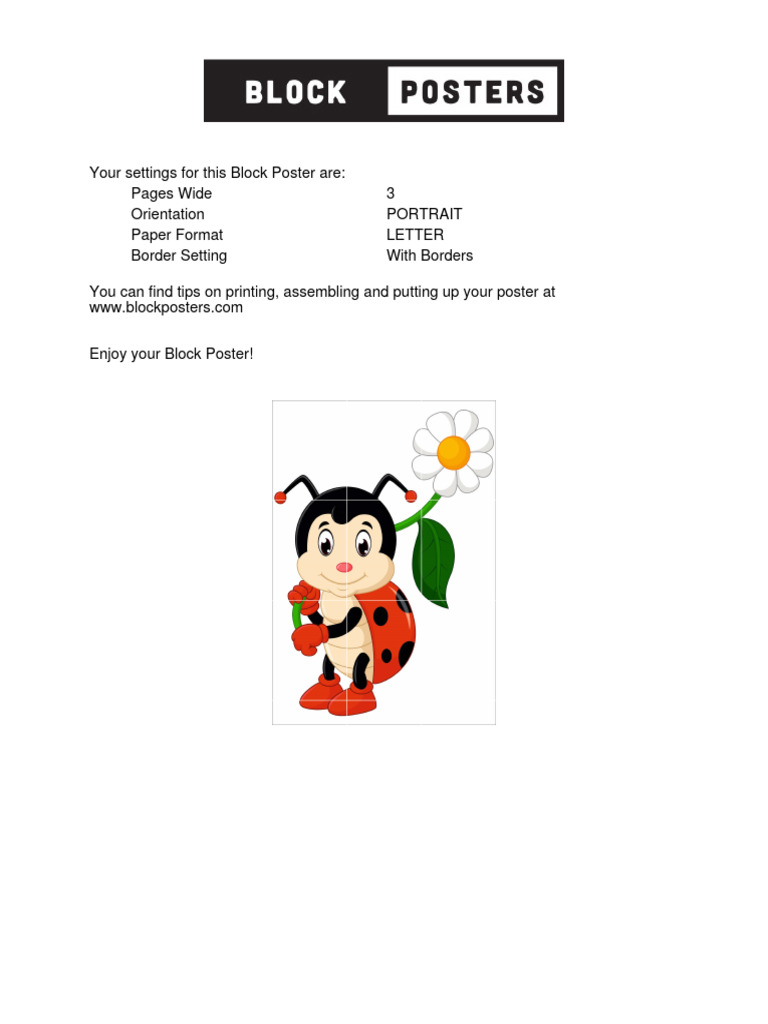 Block Poster Setup Guide | PDF