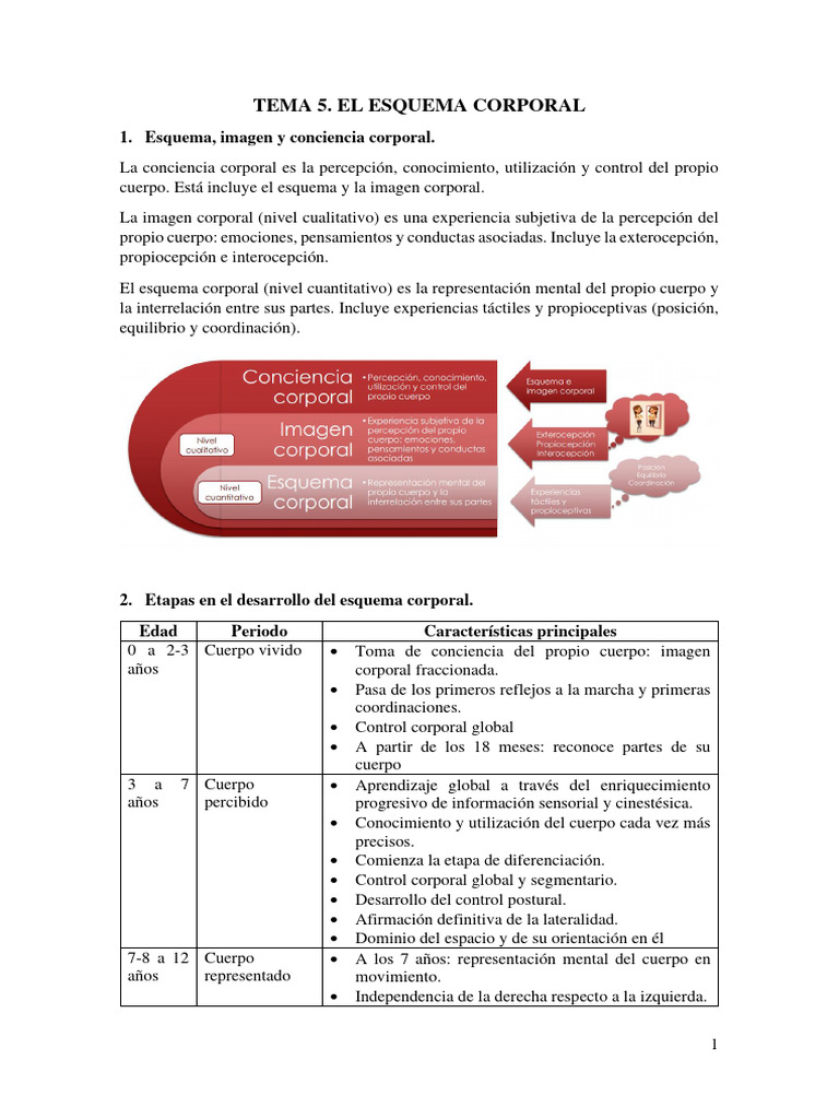 Etapas del Esquema Corporal y Control | PDF | Percepción | Procesos ...