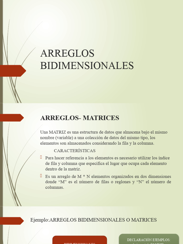 Diapositiva 11 Matrices A | PDF | Programación de computadoras | Datos ...