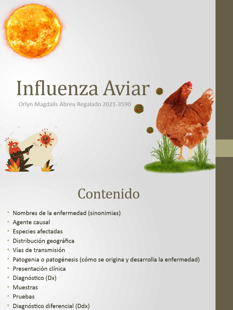Influenza Aviar | PDF | Influenza | Influenza aviar