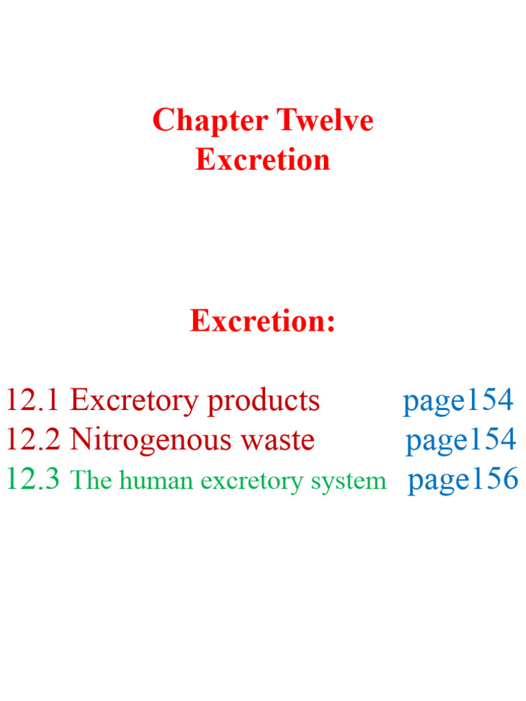 10th Grade Chapter 12 Part 1 (Excretory Products and Nitrogenous Waste) | PDF | Excretion | Urea