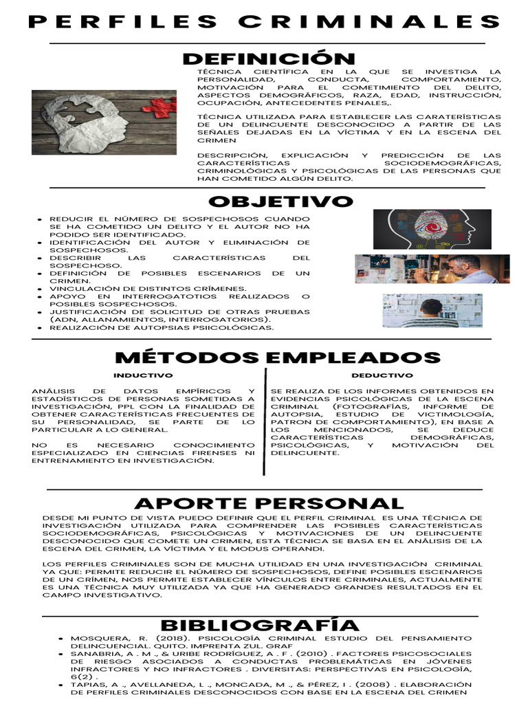 PERFILES CRIMINALES | PDF | Perfil del delincuente | Sicología