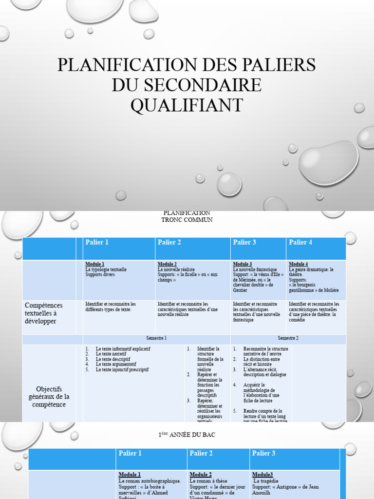 Planification tronc commun | PDF | Romans