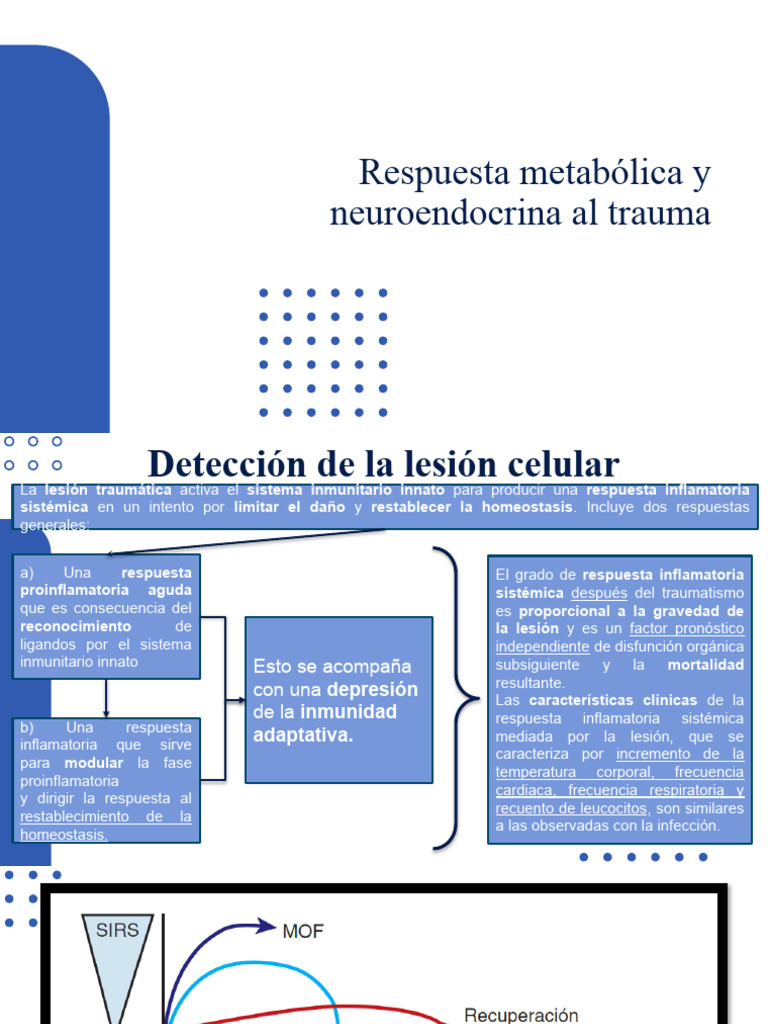 Respuesta Metabólica y Neuroendocrina Al Trauma | Descargar gratis PDF | Citocina | Sistema inmune
