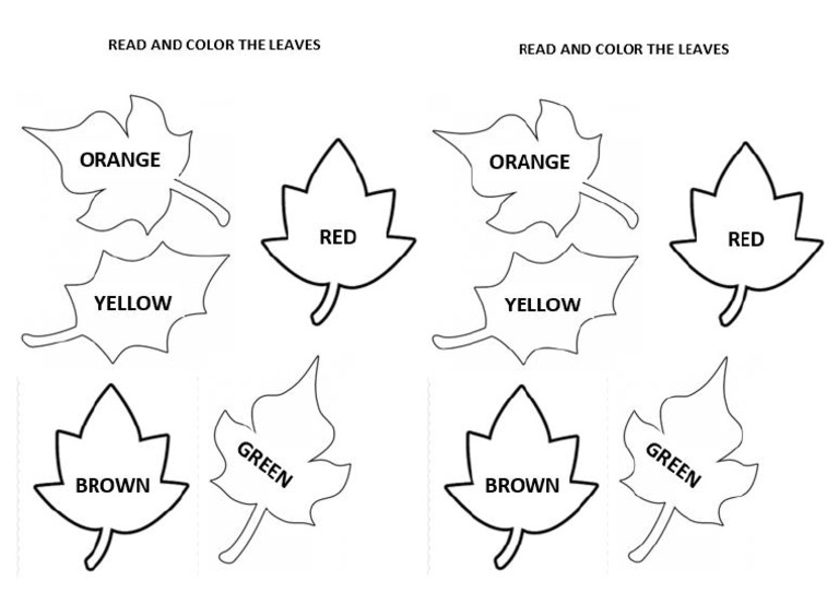 Read and Color | PDF