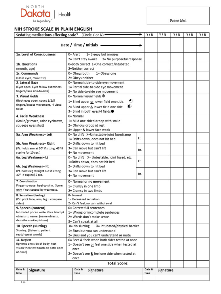 NIHSS Score Sheet | Download Free PDF | Nervous System | Neuroscience