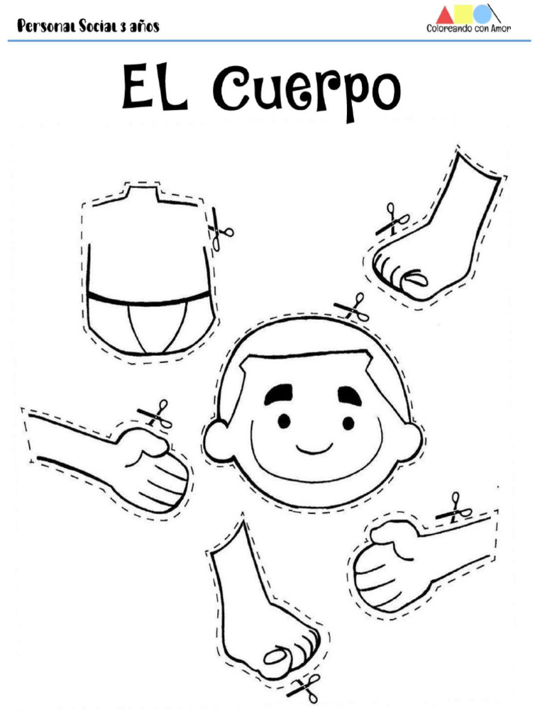 Partes Del Cuerpo Pdf
